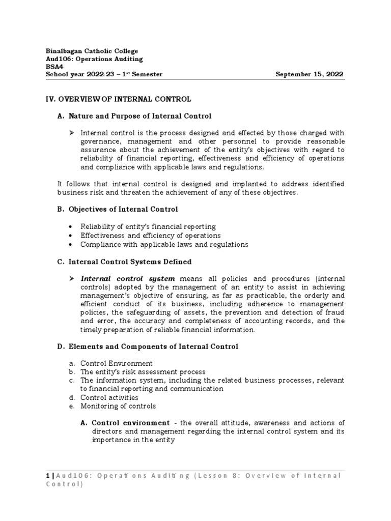 Lesson 8 Overview of Internal Control | PDF