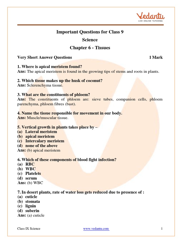 Important Questions For CBSE Class 9 Science Chapter 6 | PDF | Tissue (Biology) | Epithelium
