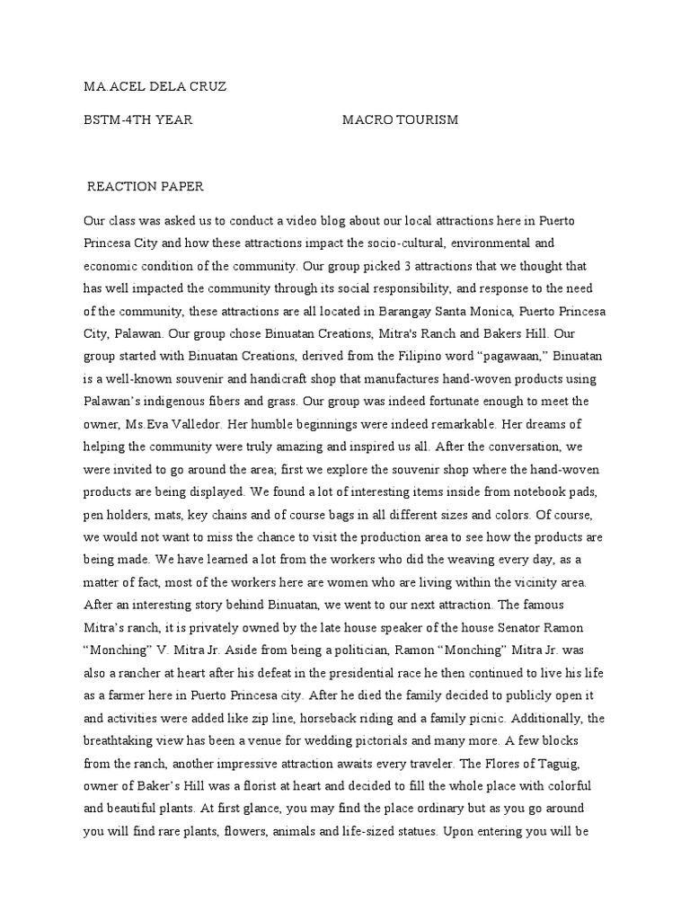 Macro Reaction Paper | PDF