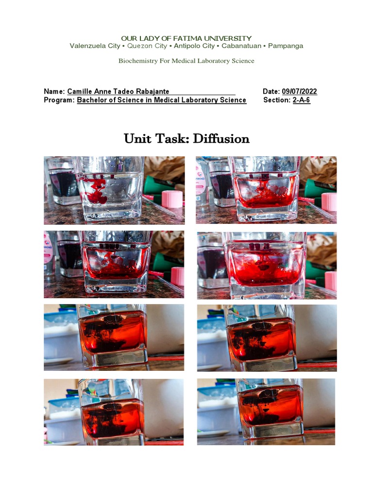 Diffusion Experiment in Biochemistry | PDF