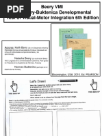 Guía de Interpretación del Beery VMI | PDF
