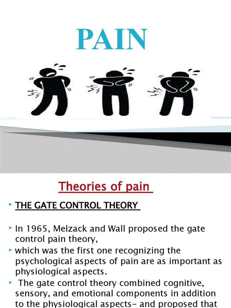PAIN | PDF | Pain | Perception