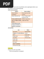 Indeks DMF-T Dan Def-T | PDF