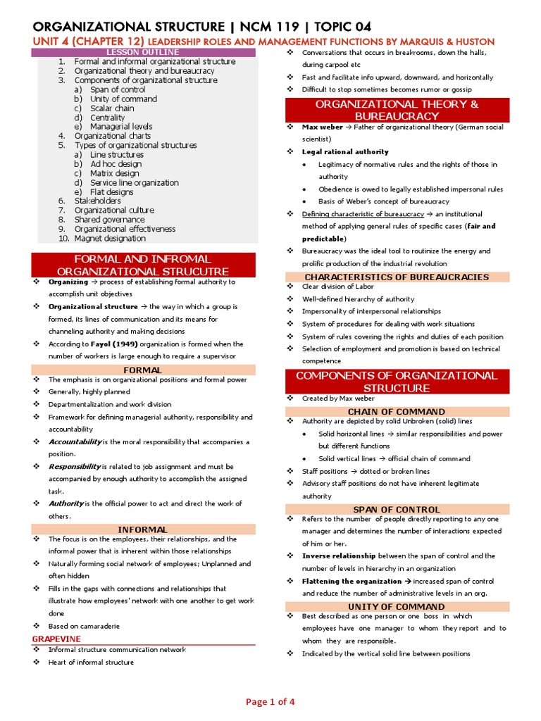 04 Lec Organizational Structure Pdf Organizational Structure Nursing