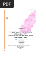 Solicitud de EPP | PDF