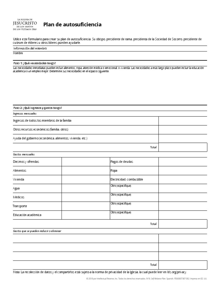 4.1 - Plan de Autosuficiencia - Formulario para Miembro | PDF | Economias