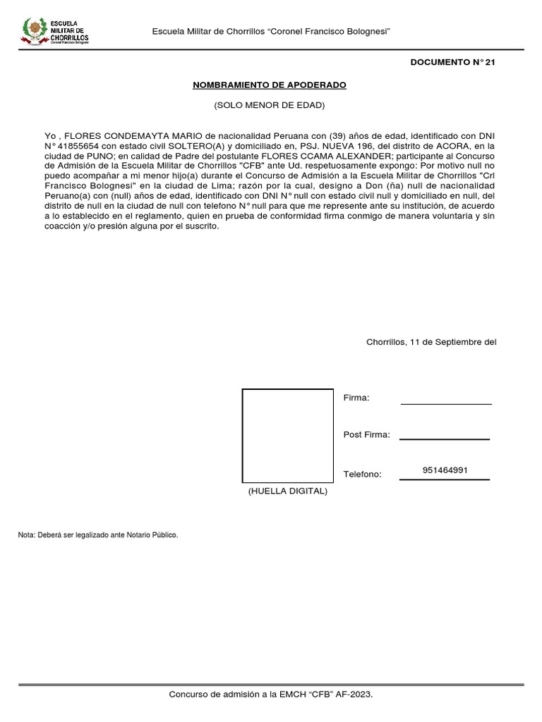 Nombramiento de Apoderado | PDF
