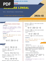 14 Valores y Vectores Propios | PDF | Valores propios y vectores propios | Matriz (Matemáticas)