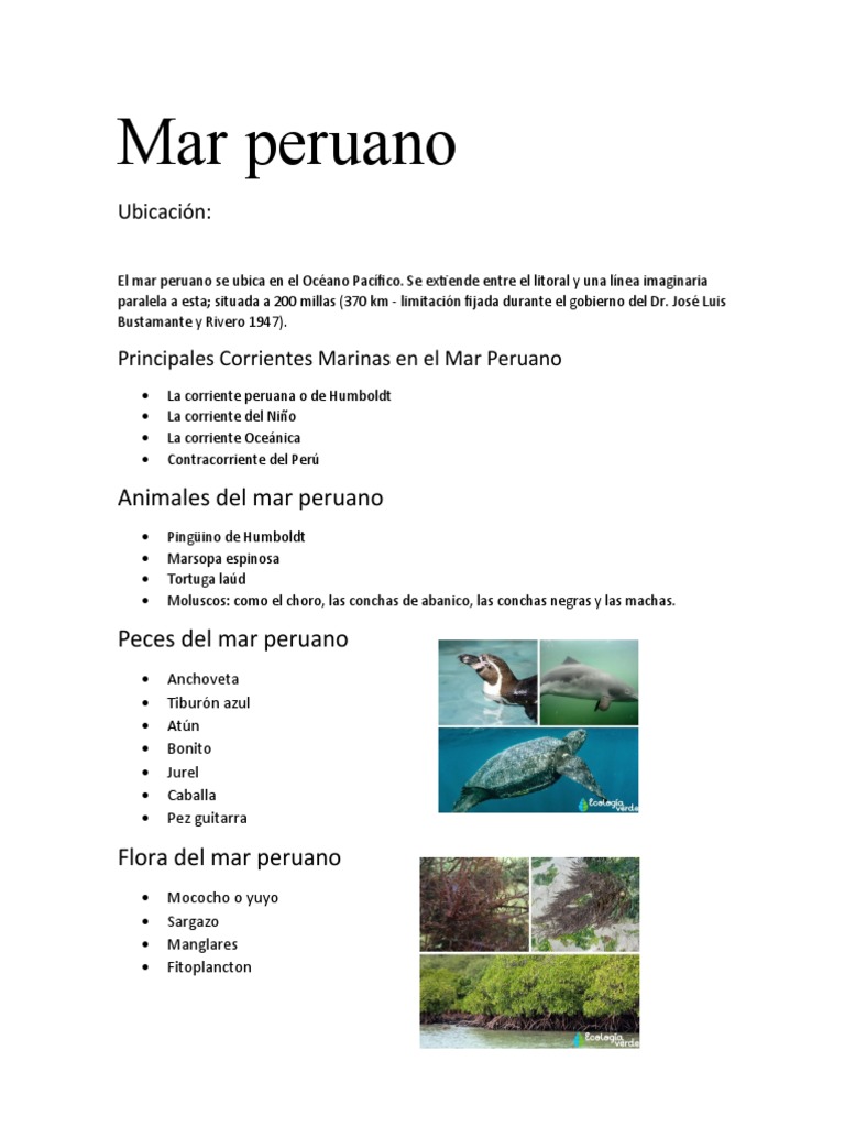 Peruvian Sea Guide | PDF