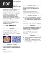 French Physical Descriptions Guide | PDF | Integumentary System | Human ...