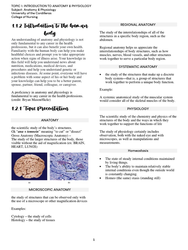 TOPIC 1 Introduction To Anatomy & Physiology | PDF | Anatomical Terms Of Location | Metabolism