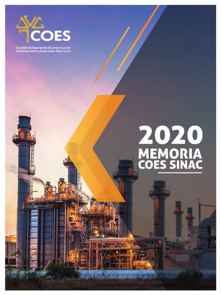 Coes - Memoria 2020 | PDF