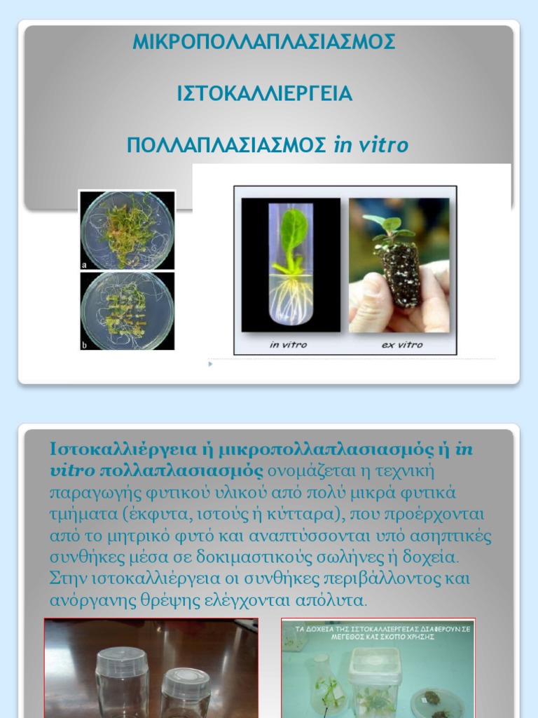 ΜΙΚΡΟΠΟΛΛΑΠΛΑΣΙΑΣΜΟΣ ΕΡΓΑΣΤΗΡΙΟ 8 | PDF