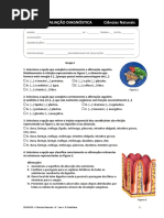 FT - Modelado Carsico | PDF | Geociências | Rochas