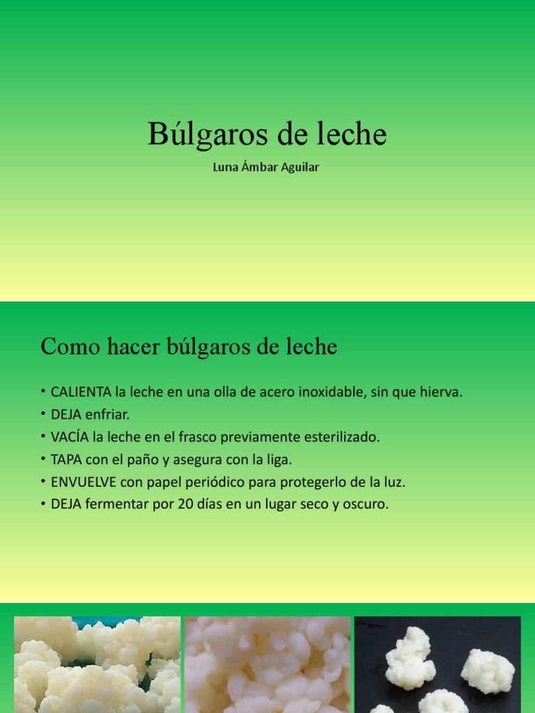 Búlgaros de Leche | PDF