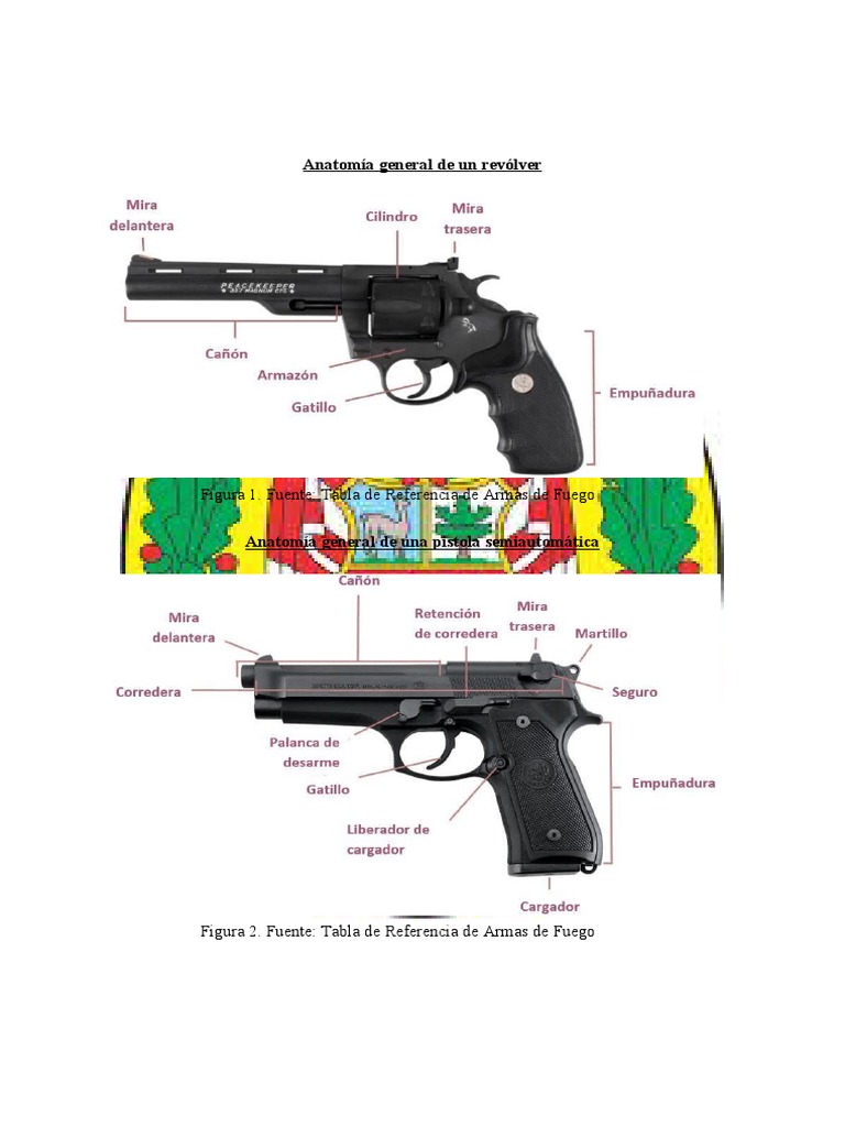 Monografía - Carga y Descarga Armas de Fuego | PDF | Revólver | Armas ...