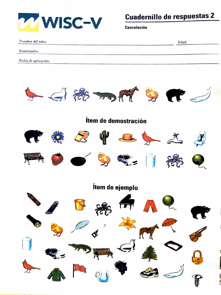 Wisc V Cuadernillo de Respuestas 2 | PDF