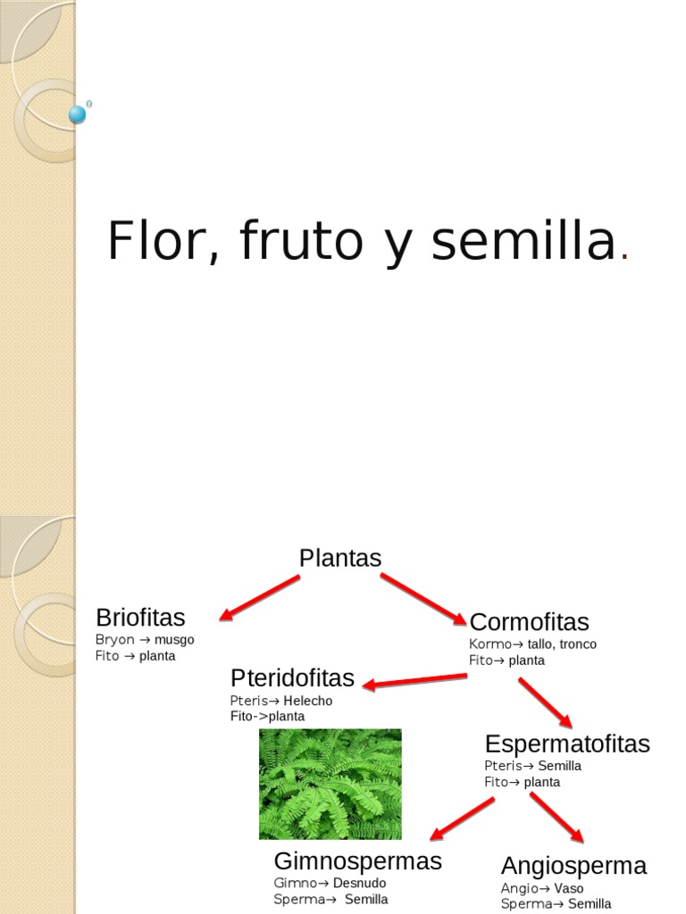 Flor, Fruto y Semilla - 2020 | PDF | Flores | Fruta
