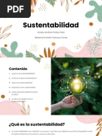 Mapa Conceptual-Sustentabilidad | PDF | Sustentabilidad | Desarrollo sostenible