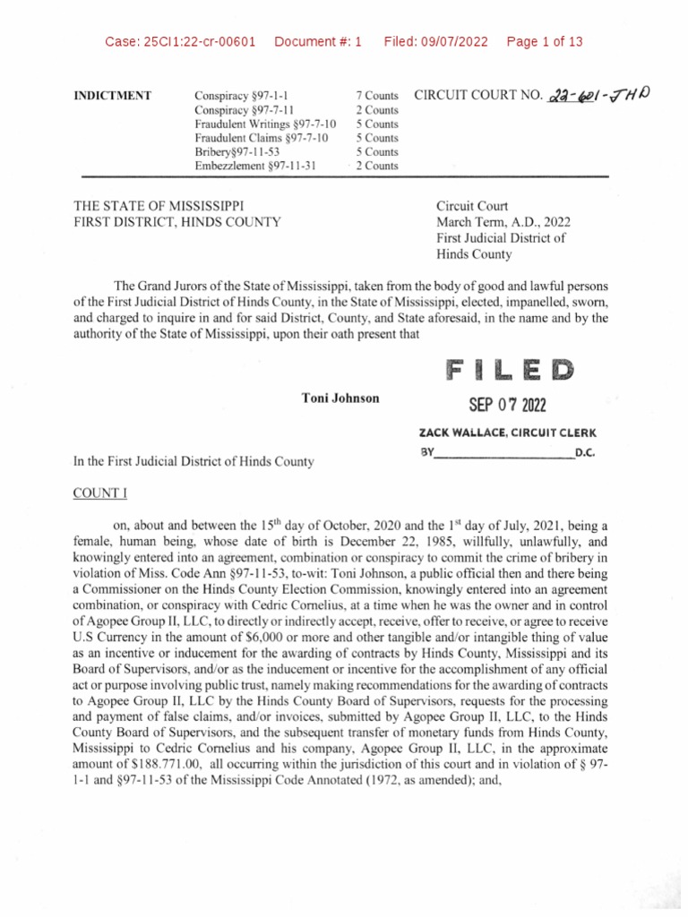 Case 25CI1:22-cr-00601 Document Summary | PDF