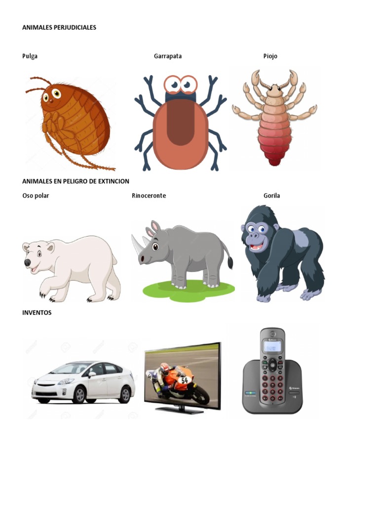 Animales Perjudiciale1 | PDF