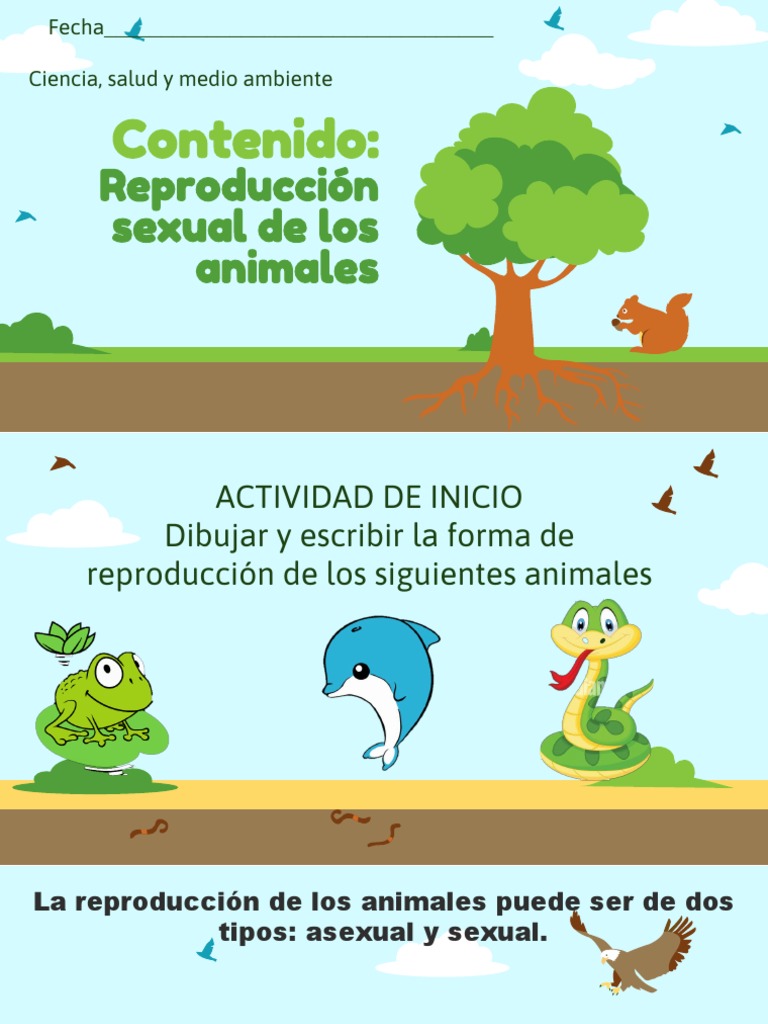 Reproduccion Sexual de Los Animales 2022 Sexto | PDF | Reproducción | Huevo