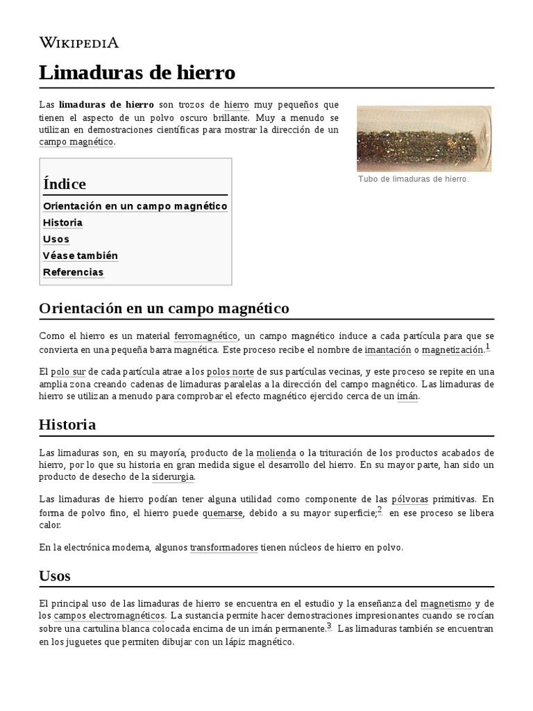 Limaduras de Hierro | PDF | Física | Magnetismo