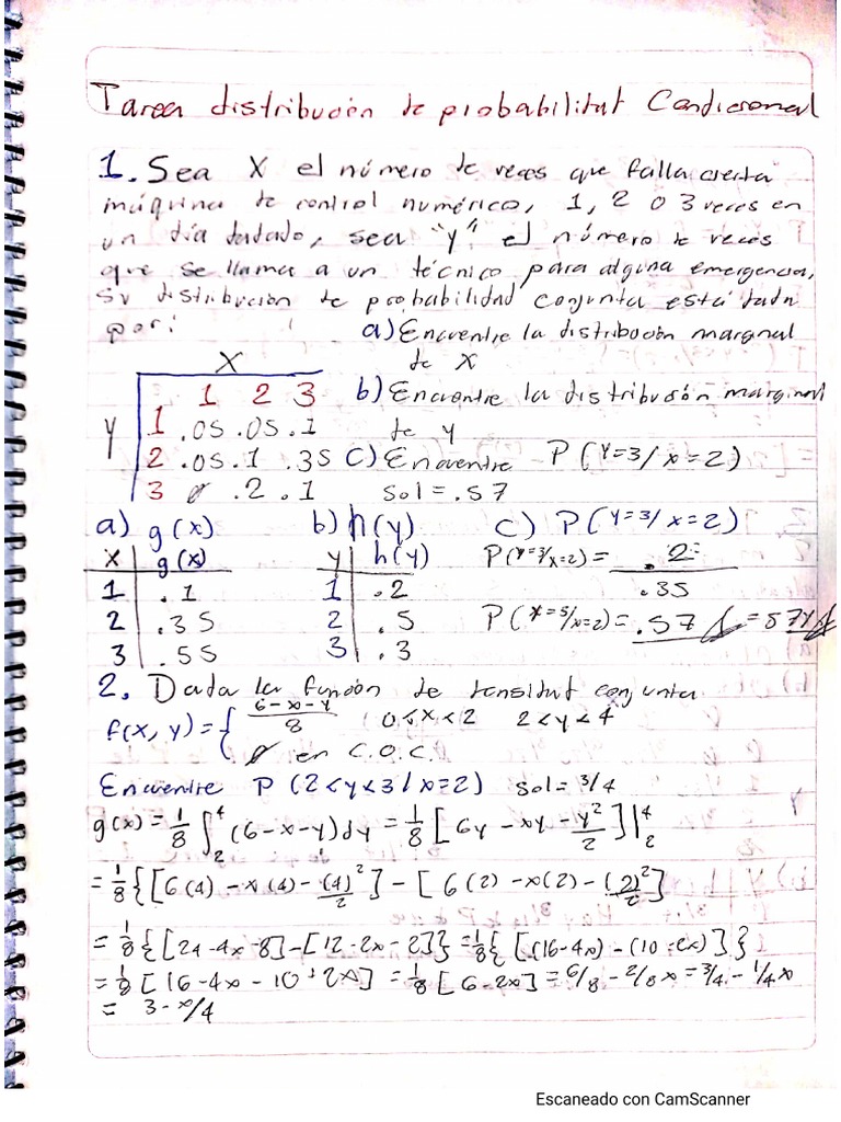 Distribucion Marginal y Condicional | PDF