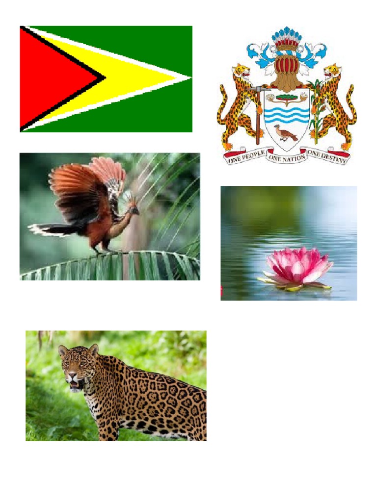 Symbols of Nations | PDF