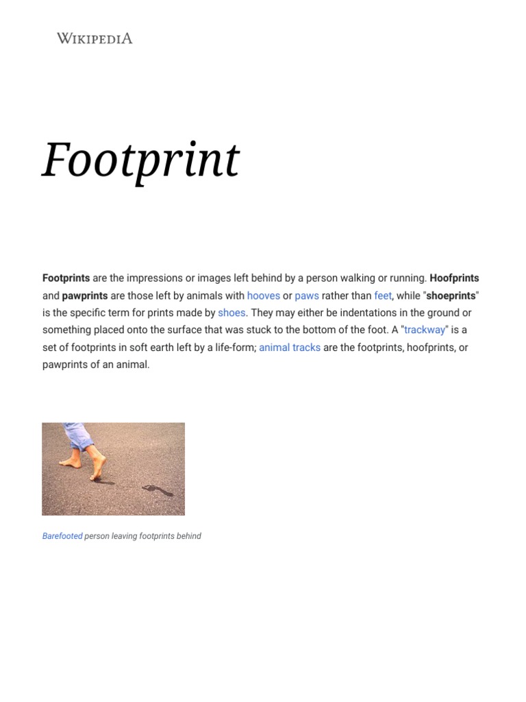 Footprint - Wikipedia | PDF | Forensic Science