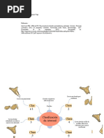 Ángulo de Bennett | PDF
