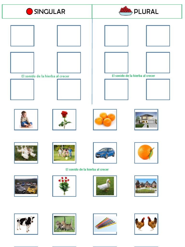 Singular y Plural-1 | PDF | Numero Gramatical | Morfología Lingüística