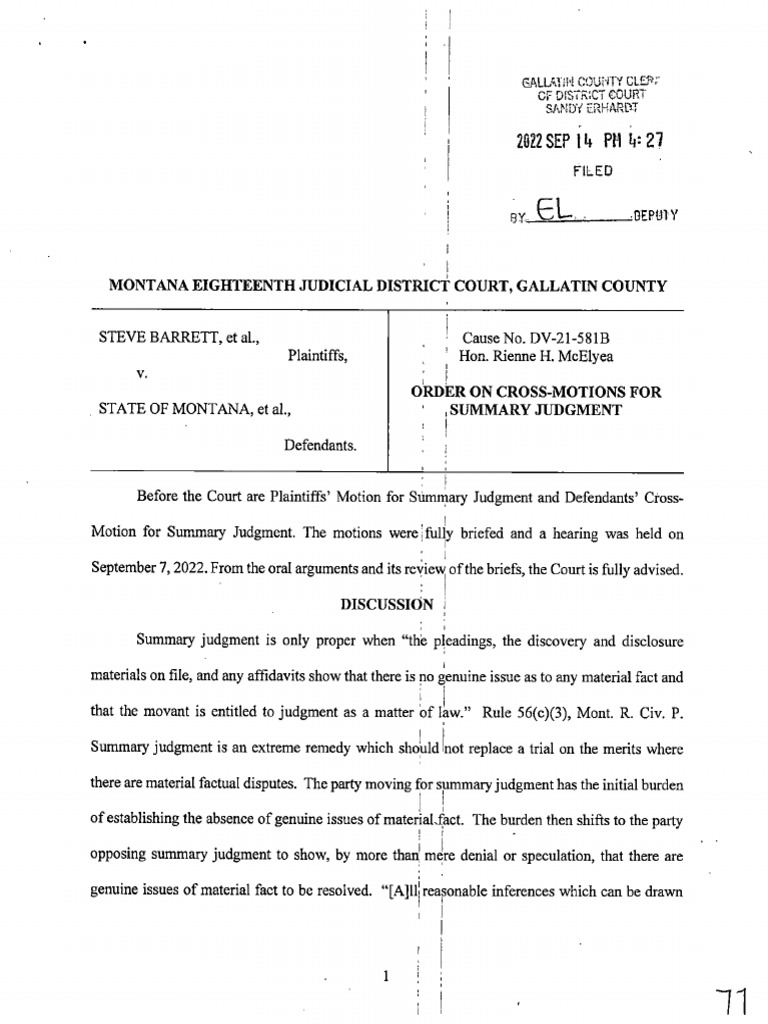 Order On Cross-Motions For Summary Judgment | PDF