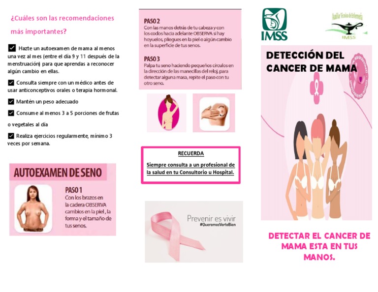 Triptico Cancer de Mama | PDF Triptico Cancer de Mama | PDF
