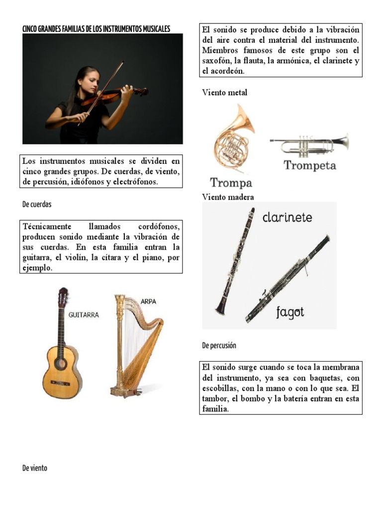 Cinco Grandes Familias de Los Instrumentos Musicales | PDF