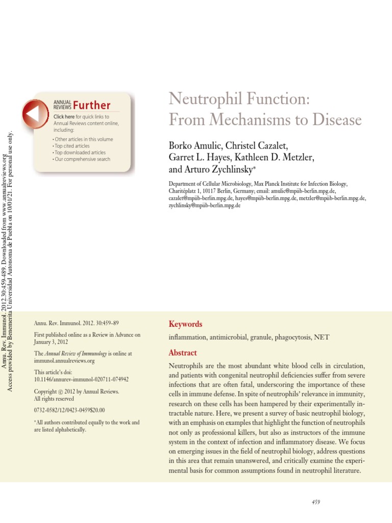 Neutrophil Function - From Mechanisms To Disease | PDF | Interleukin 8 ...