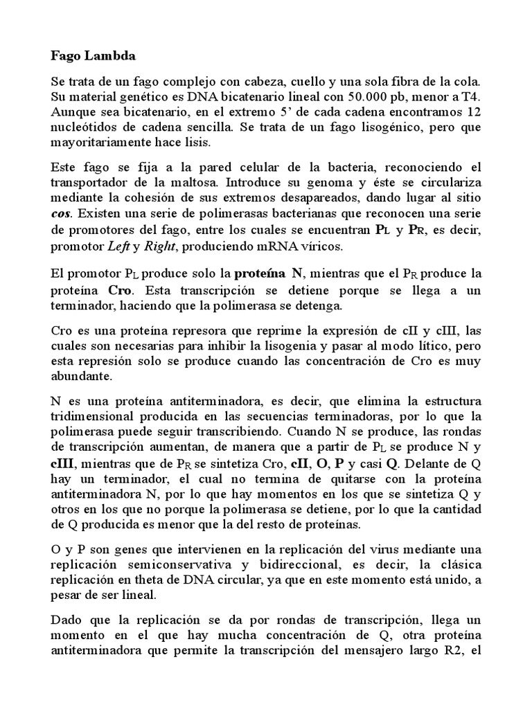 Fago Lambda | PDF | Replicación De Adn | Adn