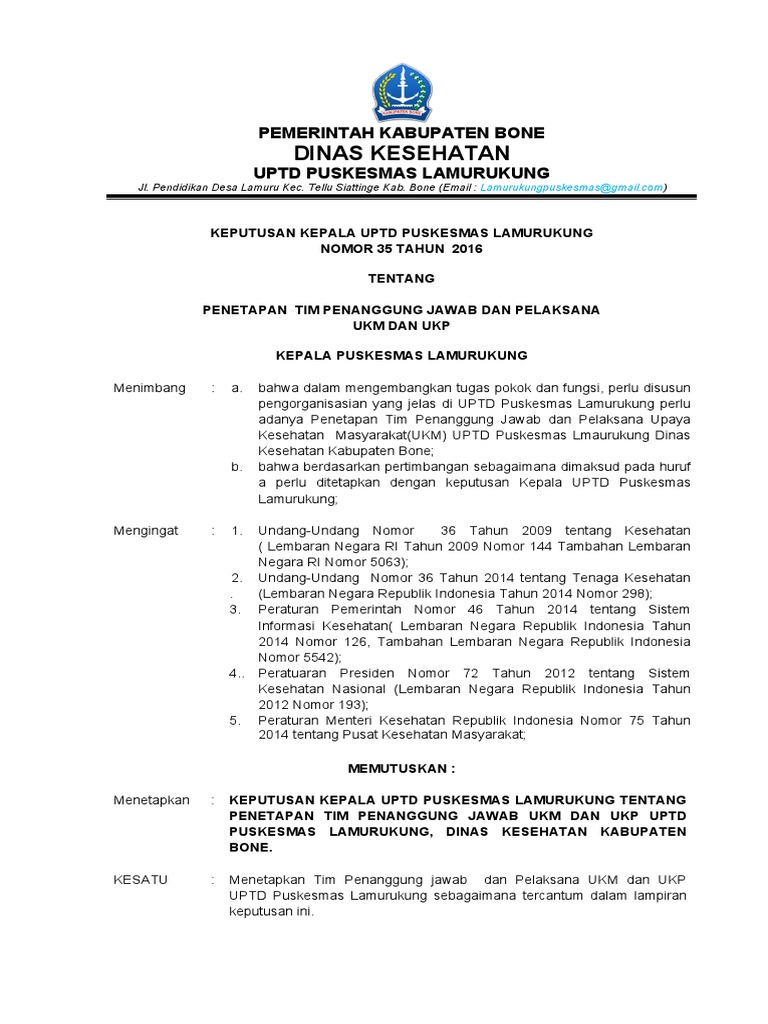 SK Tentang Penanggung Jawab Dan Pelaksana Ukm Dan Ukp | PDF