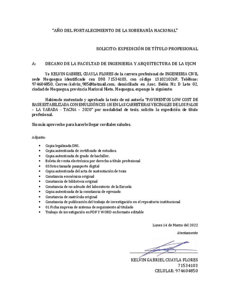 Modelo Titulo Profesional Por Tesis o Trabajo de Suficiencia | PDF ...
