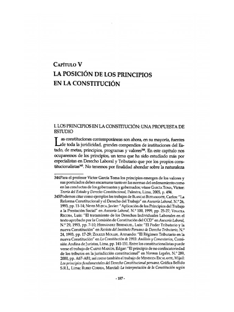 Los Principios Constitucionales | PDF