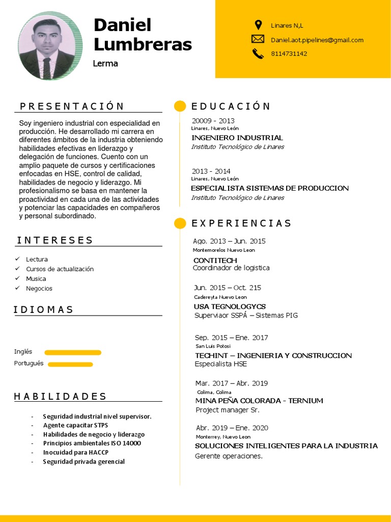 CV Daniel Lerma | PDF | Business | Economias