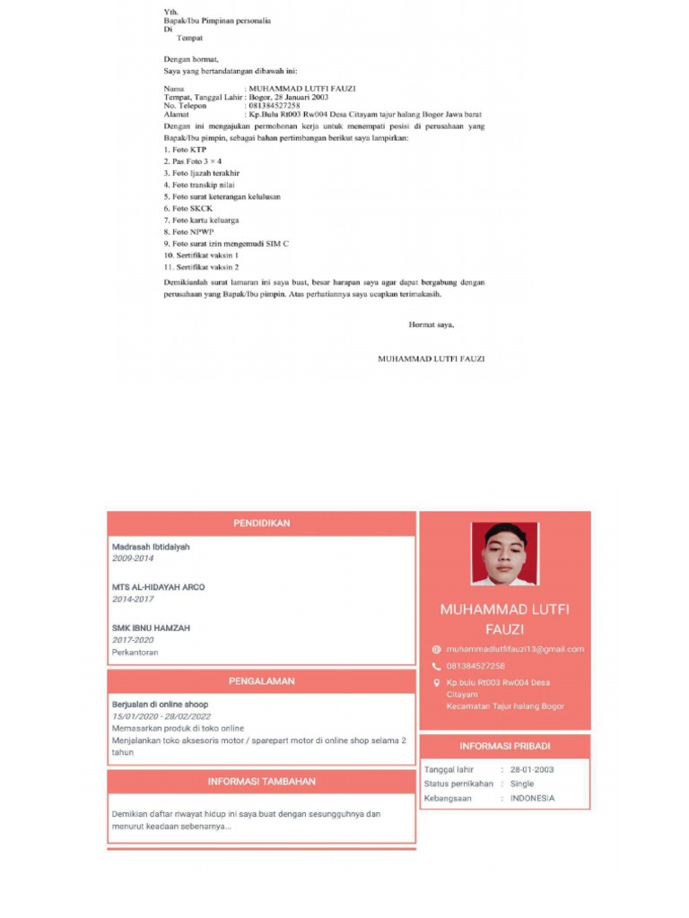 Muhammad Lutfi Compressed | PDF