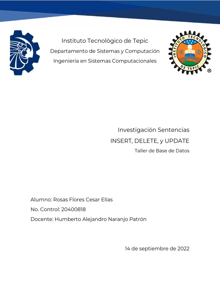 Sentencias Insert, Delete, y Update | Descargar gratis PDF | Bases de datos | Datos de computadora