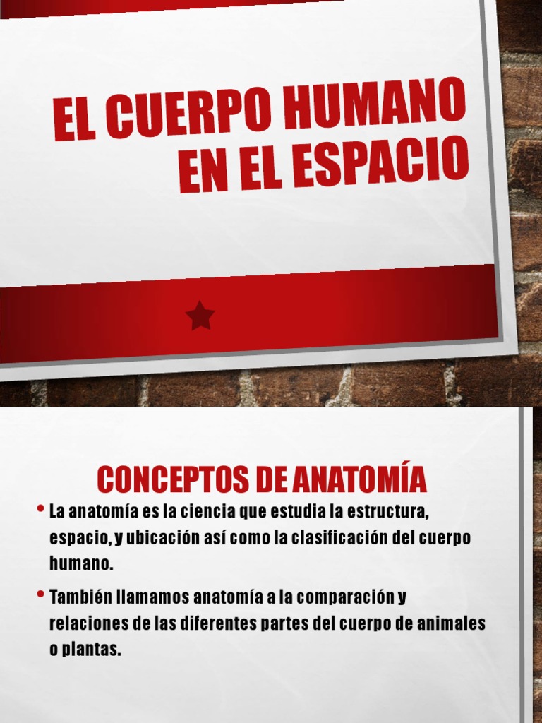Class-1 El Cuerpo Humano en El Espacio | PDF | Términos anatómicos de ubicación | La columna ...