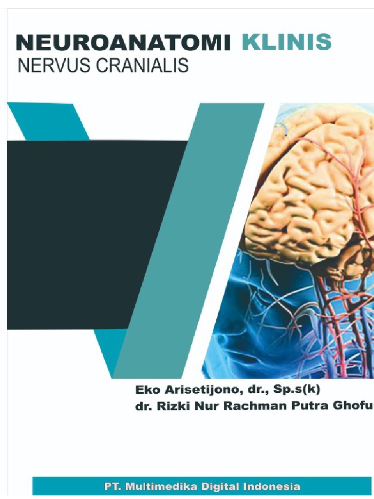 Pemahaman Nervus Cranialis dalam Kedokteran | PDF | Kesehatan Holistik ...