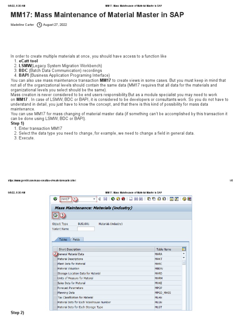 6 MM17 - Mass Maintenance of Material Master in SAP | PDF | Computer Data | Software