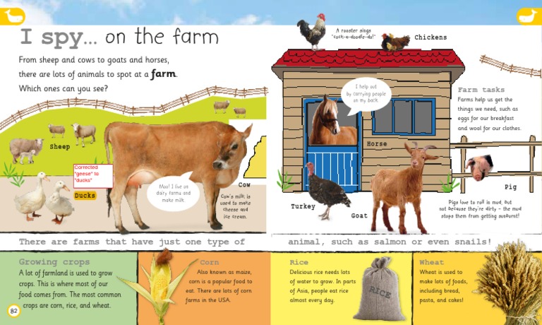 Farm Animals and Crops for Kids | PDF | Farms | Wheat