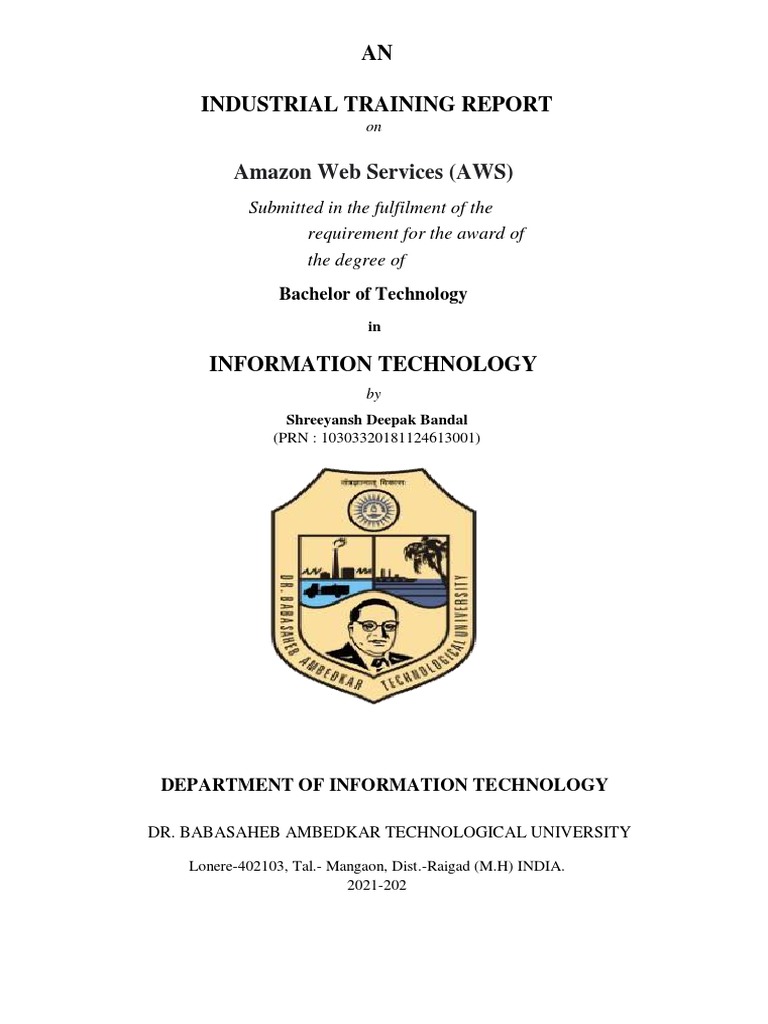 AWS Report | PDF | Cloud Computing | Amazon Web Services