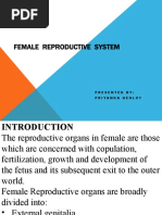 Perineal Care Procedure | PDF | Medical Specialties | Medicine