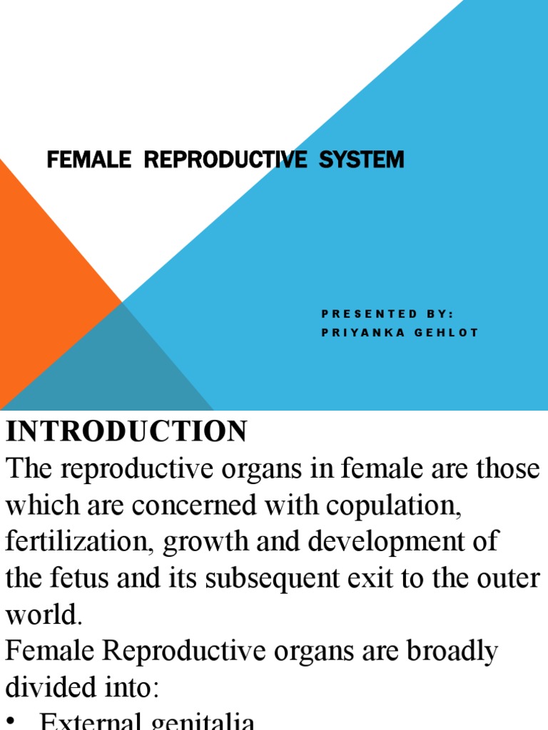 Obg Presentation | PDF | Vagina | Labia